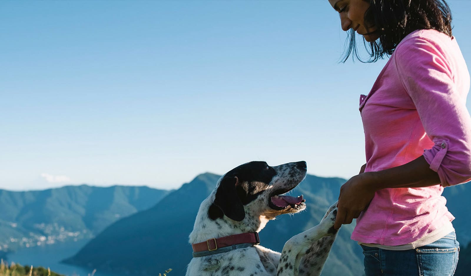 Outward Hound - Isadora Digital Agency